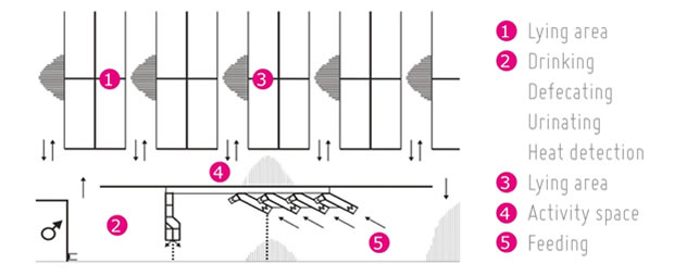 eFeedLink - NEDAP to introduce technological solutions for swine production