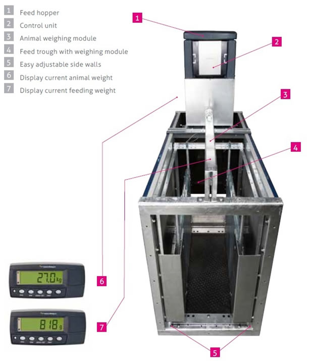 eFeedLink - NEDAP to introduce technological solutions for swine production