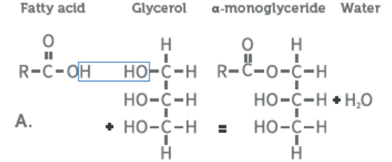 eFeedLink - Impact of medium chain fatty acids, their monoglycerides ...