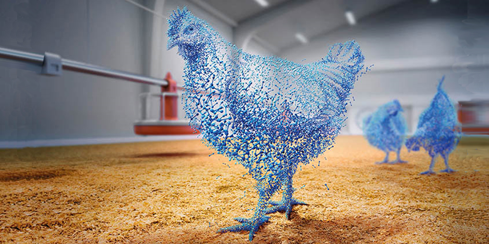 eFeedLink - AB Vista's Signis: Promote gut health performance with ...