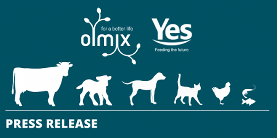 eFeedLink - France's Olmix reinforces animal care business with ...