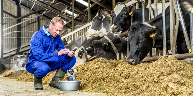 eFeedLink - Selko teams up with GMP+ International on "Preserve and ...