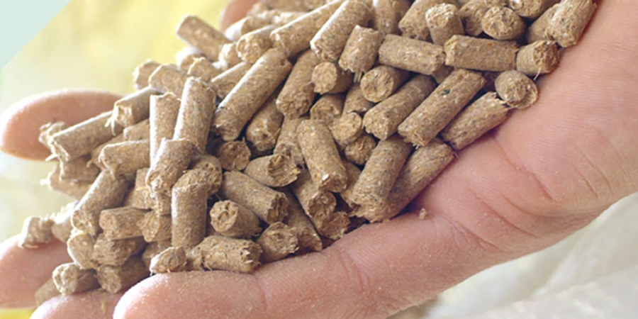 eFeedLink - Spain holds top spot as EU's leading compound feed producer
