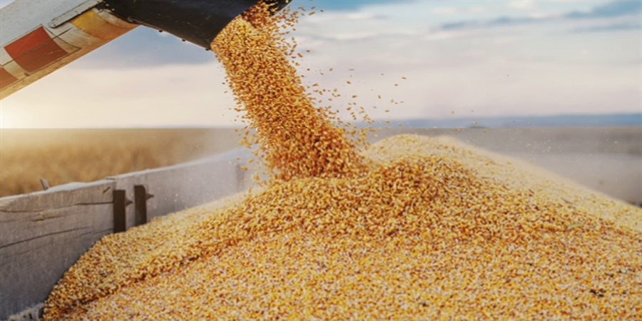 eFeedLink - Vietnam's feed and feed ingredients import dropped 5.8% in ...