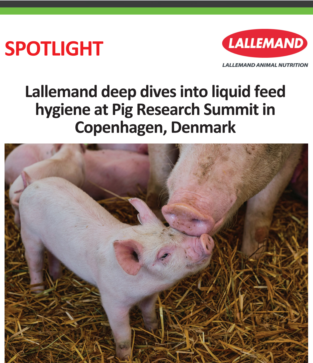 eFeedLink - Lallemand deep dives into liquid feed hygiene at Pig ...