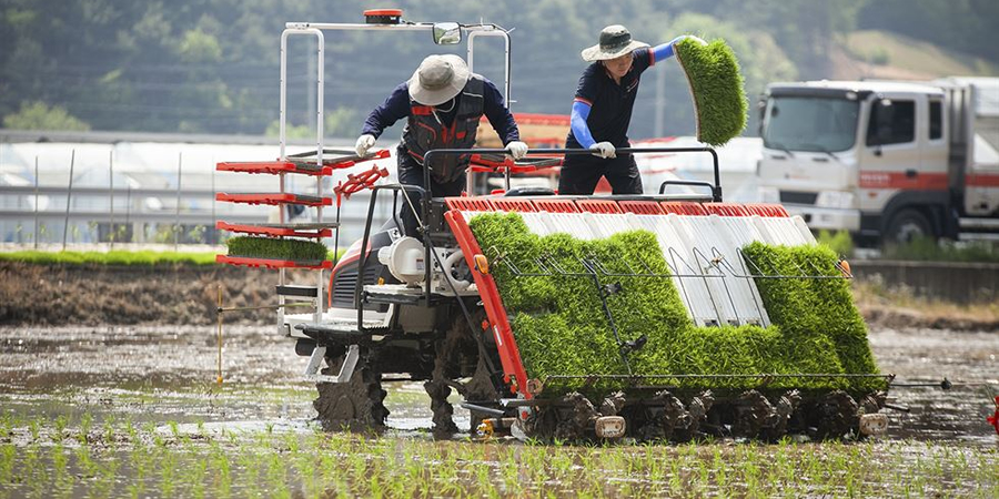 eFeedLink - Philippines agriculture teams to oversee infrastructure ...