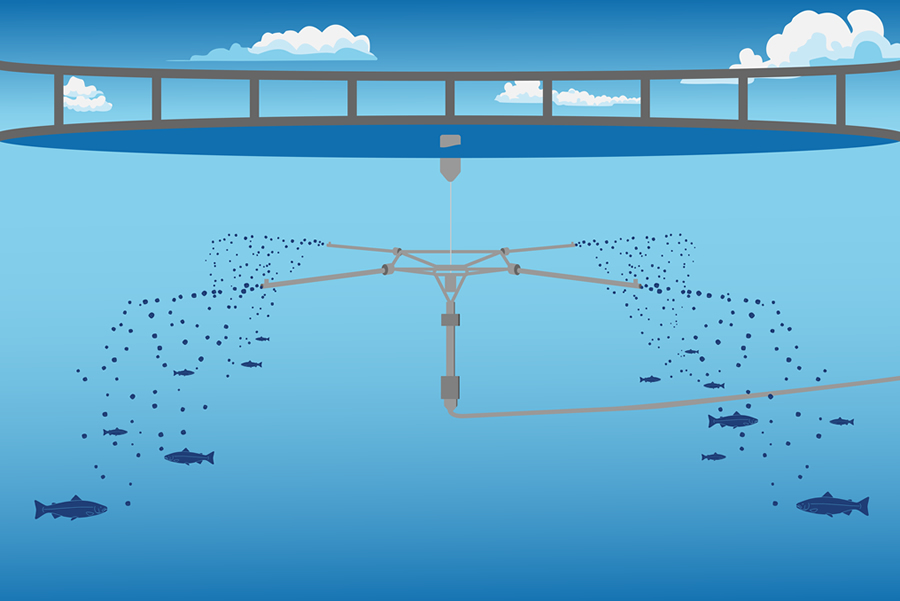 eFeedLink - BioMar explores ideal aquafeed for use in waterborne ...